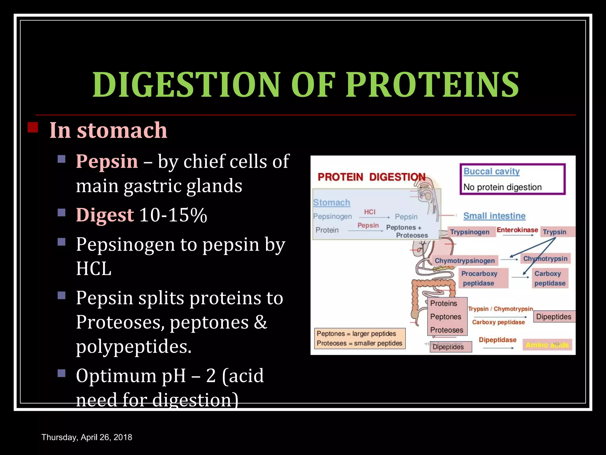 INTESTINAL GLANDS AND SECRETIONS | PPT
