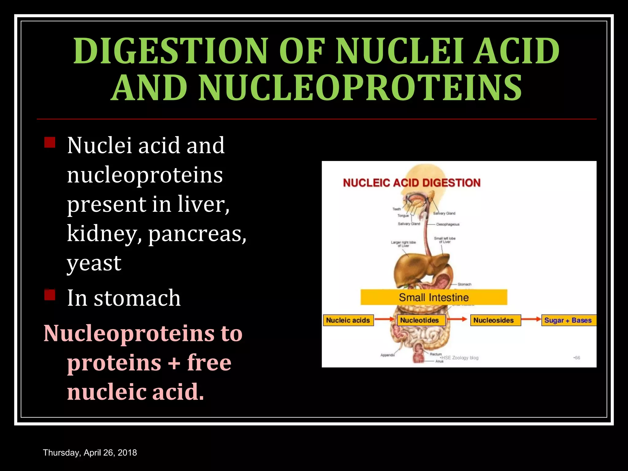 INTESTINAL GLANDS AND SECRETIONS | PPT