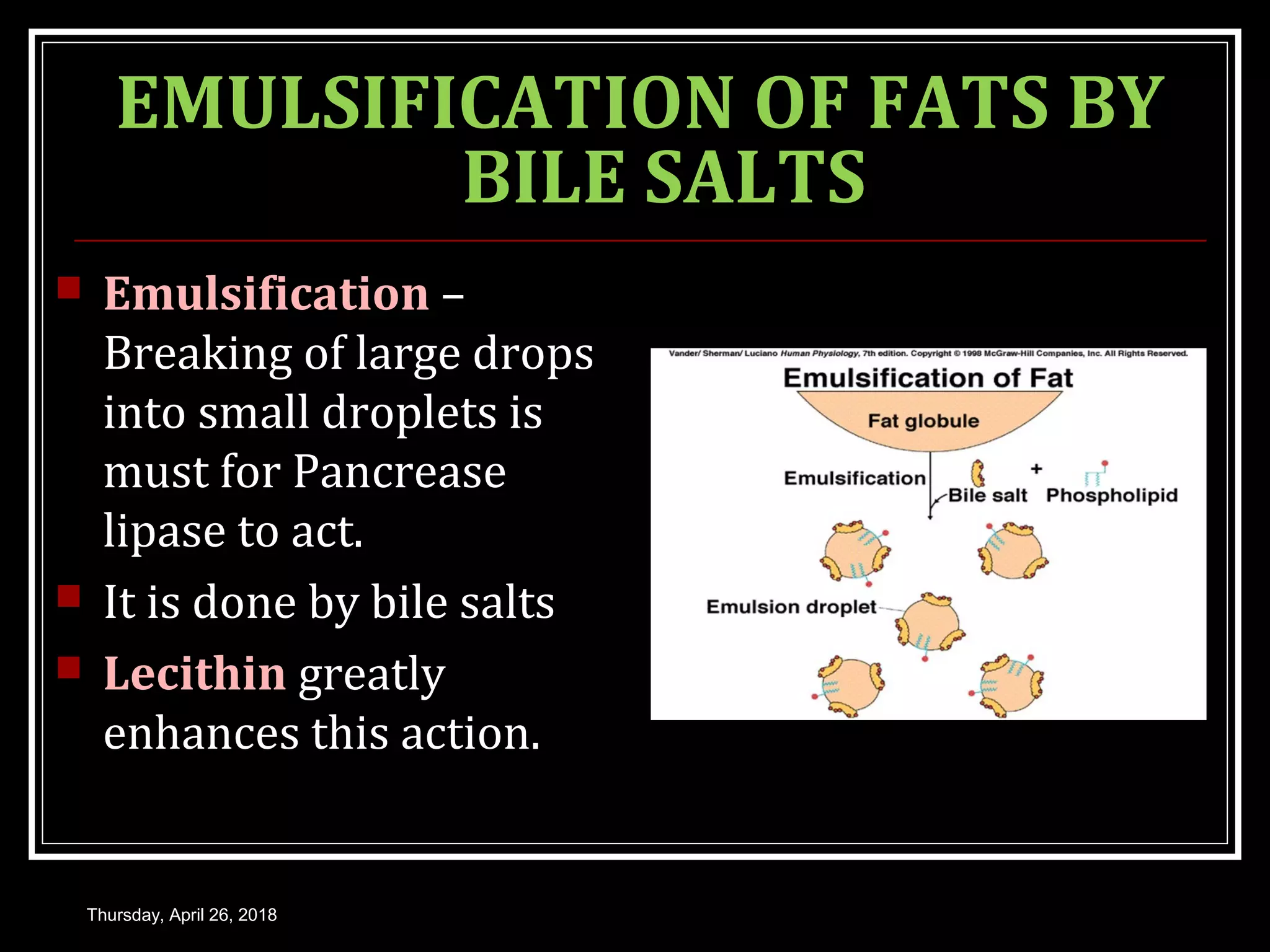INTESTINAL GLANDS AND SECRETIONS | PPT