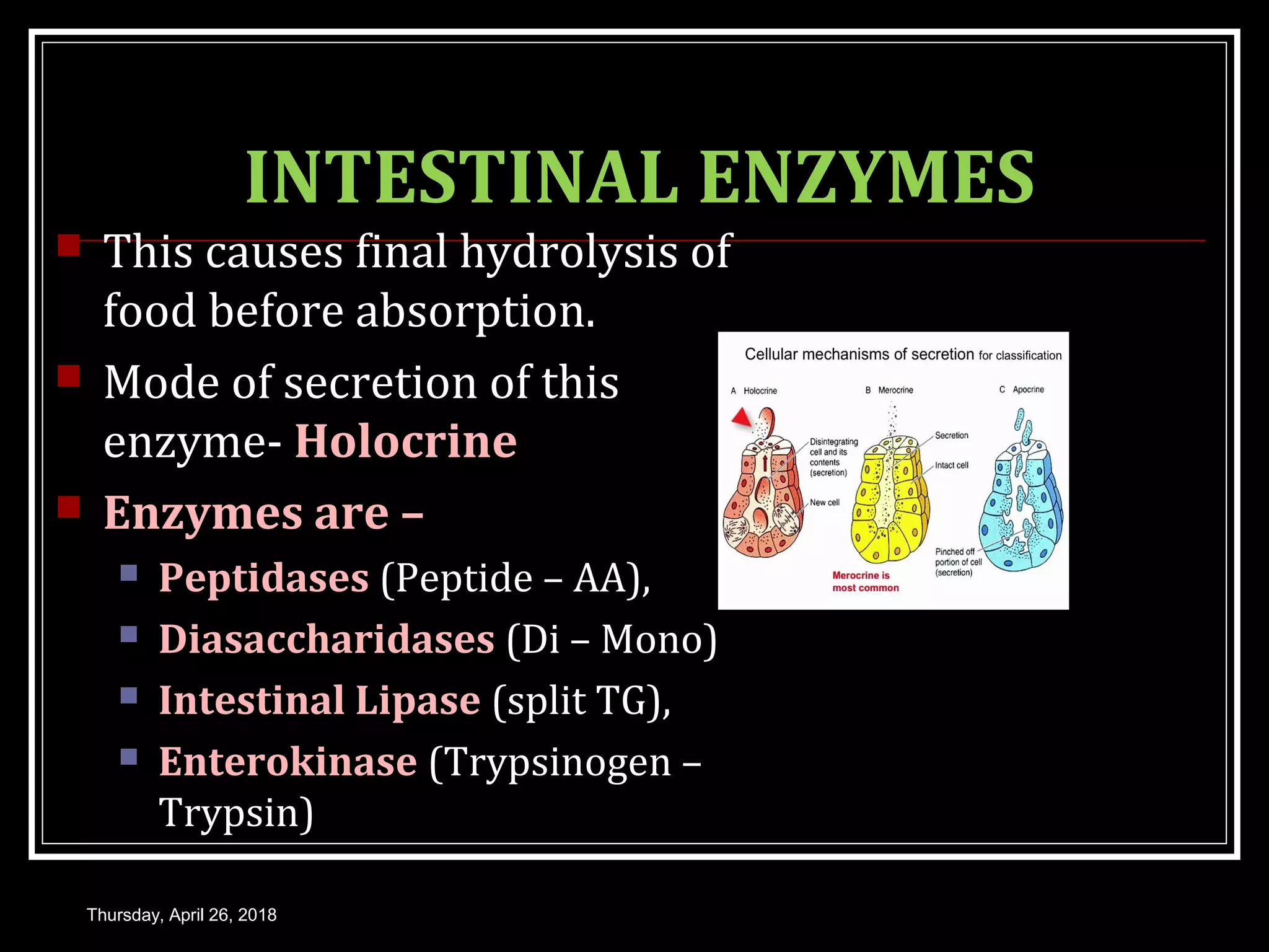 INTESTINAL GLANDS AND SECRETIONS | PPT