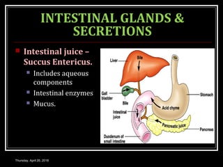 INTESTINAL GLANDS AND SECRETIONS | PPT