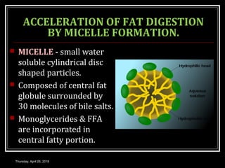 INTESTINAL GLANDS AND SECRETIONS | PPT