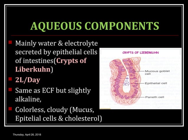 INTESTINAL GLANDS AND SECRETIONS | PPT | Digestive Disorders | Diseases ...