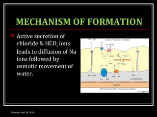 INTESTINAL GLANDS AND SECRETIONS | PPT