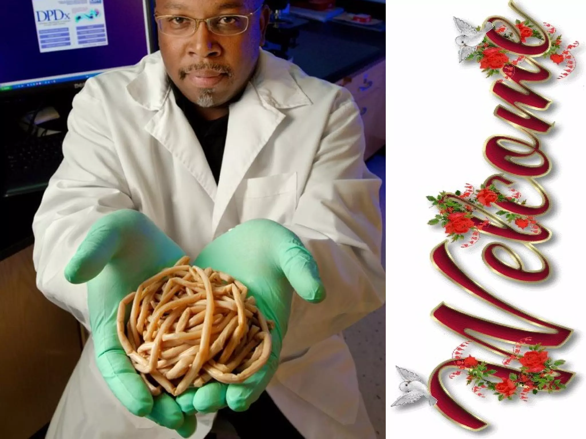 Intestinal helminths | PPT