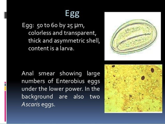 Intestinal helminths | PPT