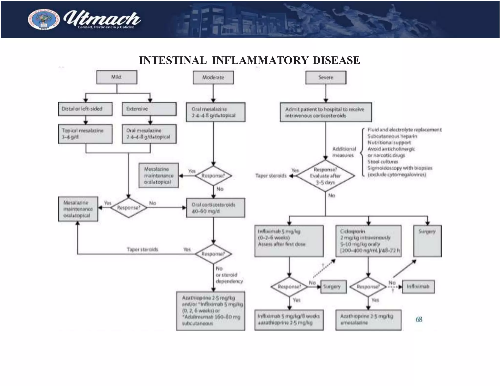 Intestinal inflammatory disease algorithm | PPT