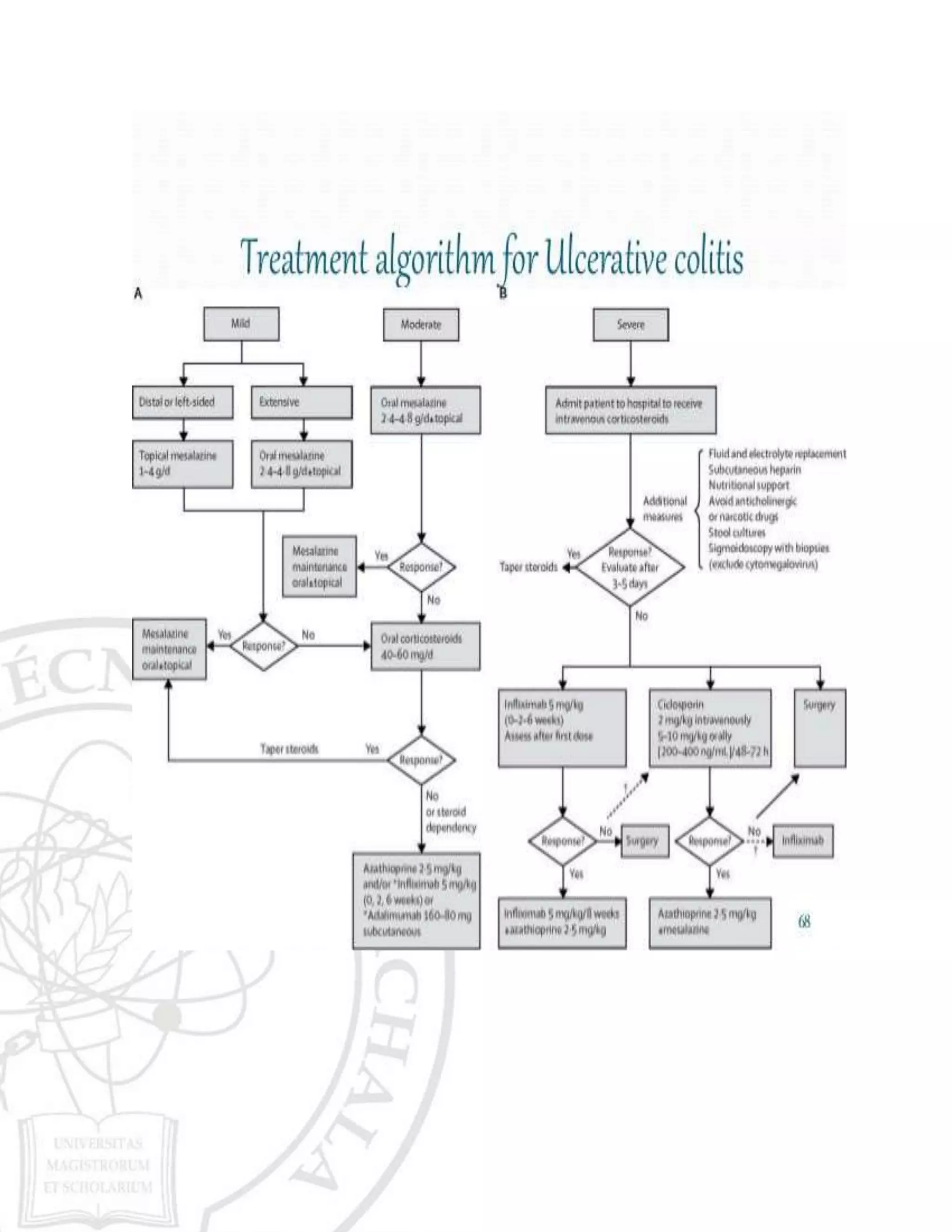 Intestinal inflammatory disease algorithm | DOCX
