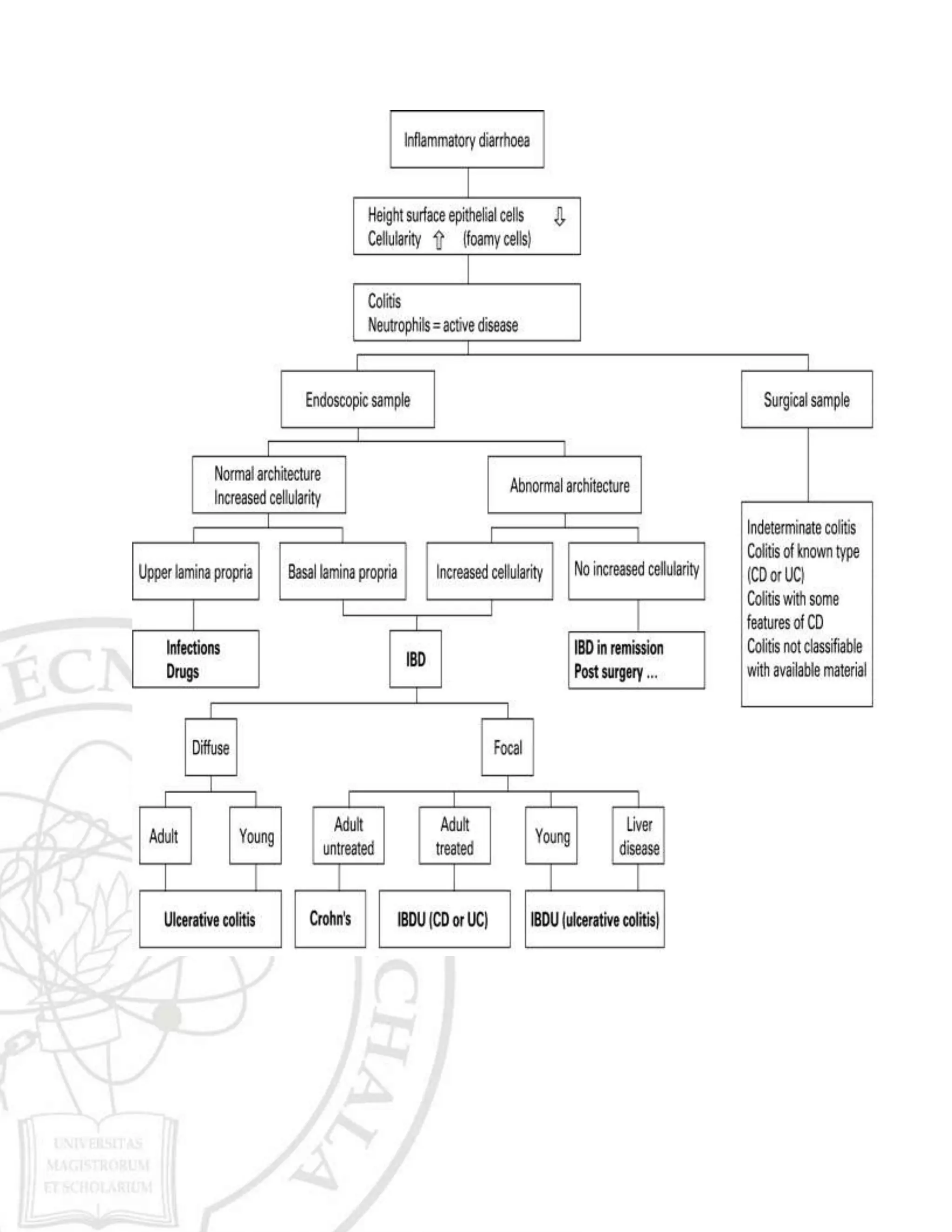 Intestinal inflammatory disease algorithm | DOCX