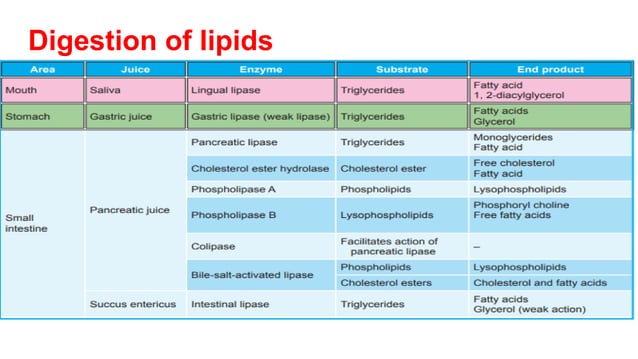 intestinal juice/ digestion and absorption | PPT