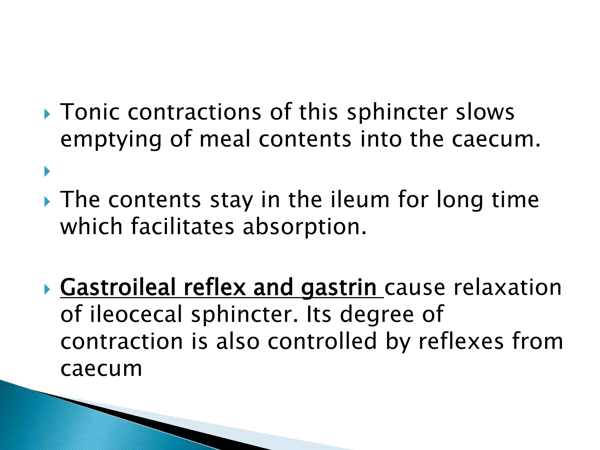 Intestinal movements- Dr Prafull Turerao. | PPTX
