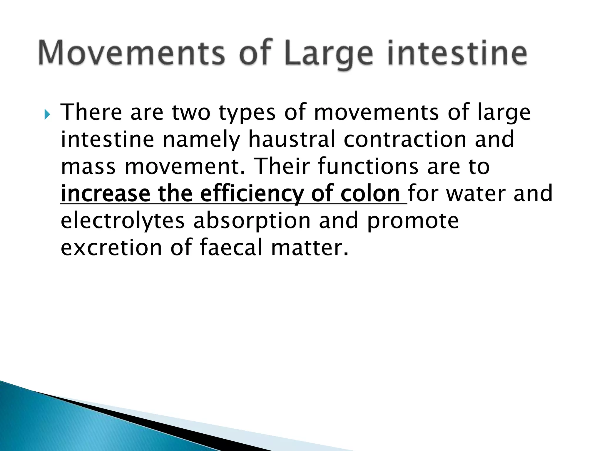 Intestinal movements- Dr Prafull Turerao. | PPTX