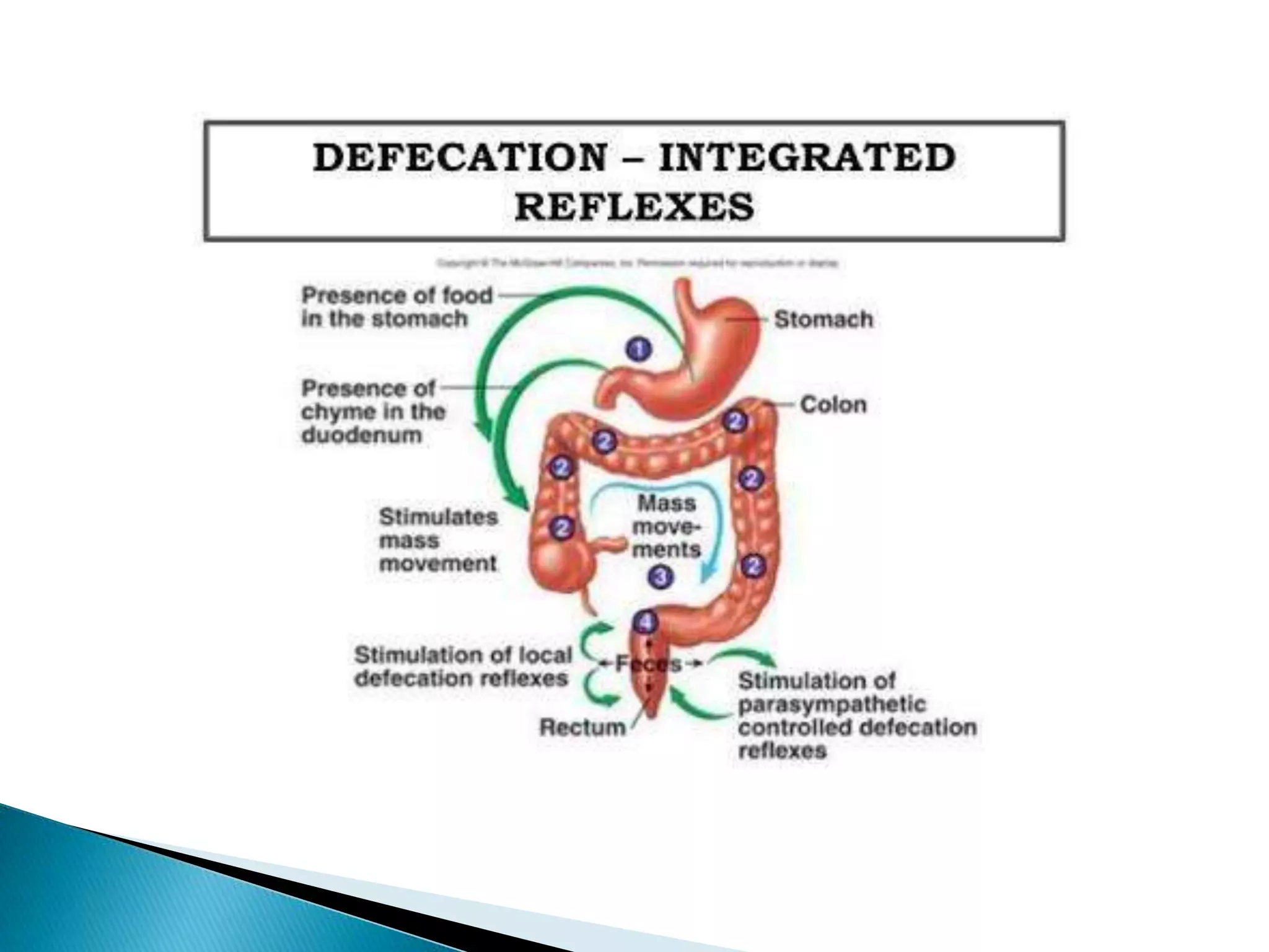 Intestinal movements- Dr Prafull Turerao. | PPTX