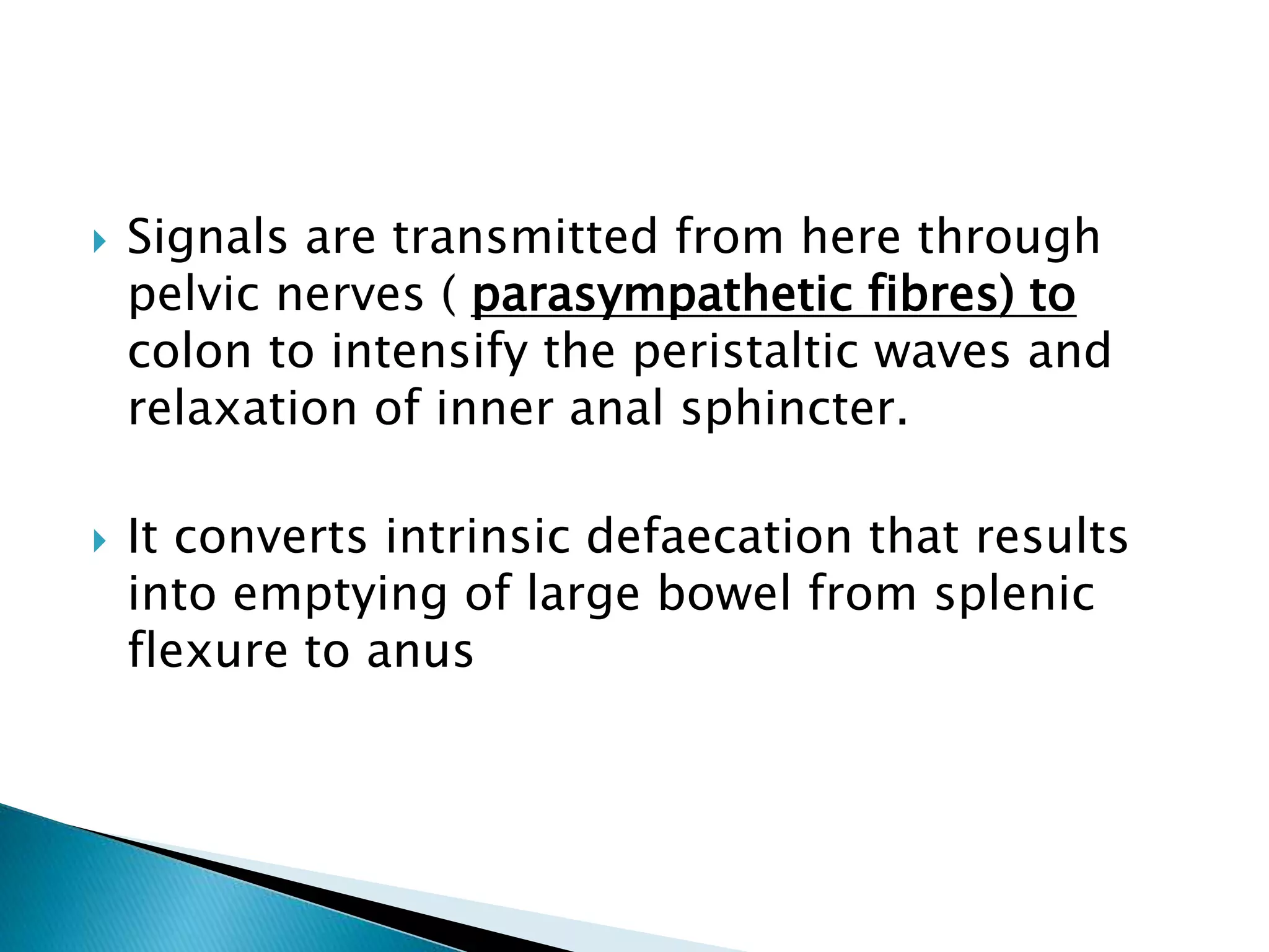 Intestinal movements- Dr Prafull Turerao. | PPTX