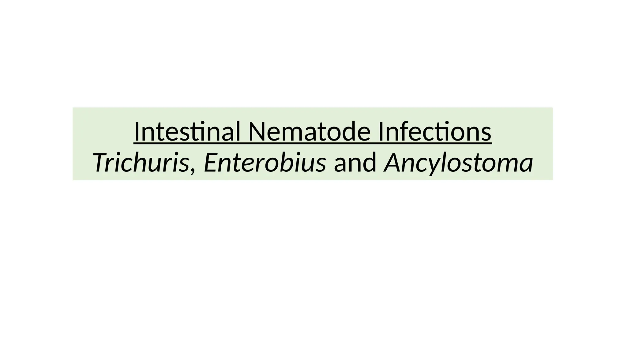 Intestinal Nematode Infections Trichuris Enterobius Ancylostoma Pptx