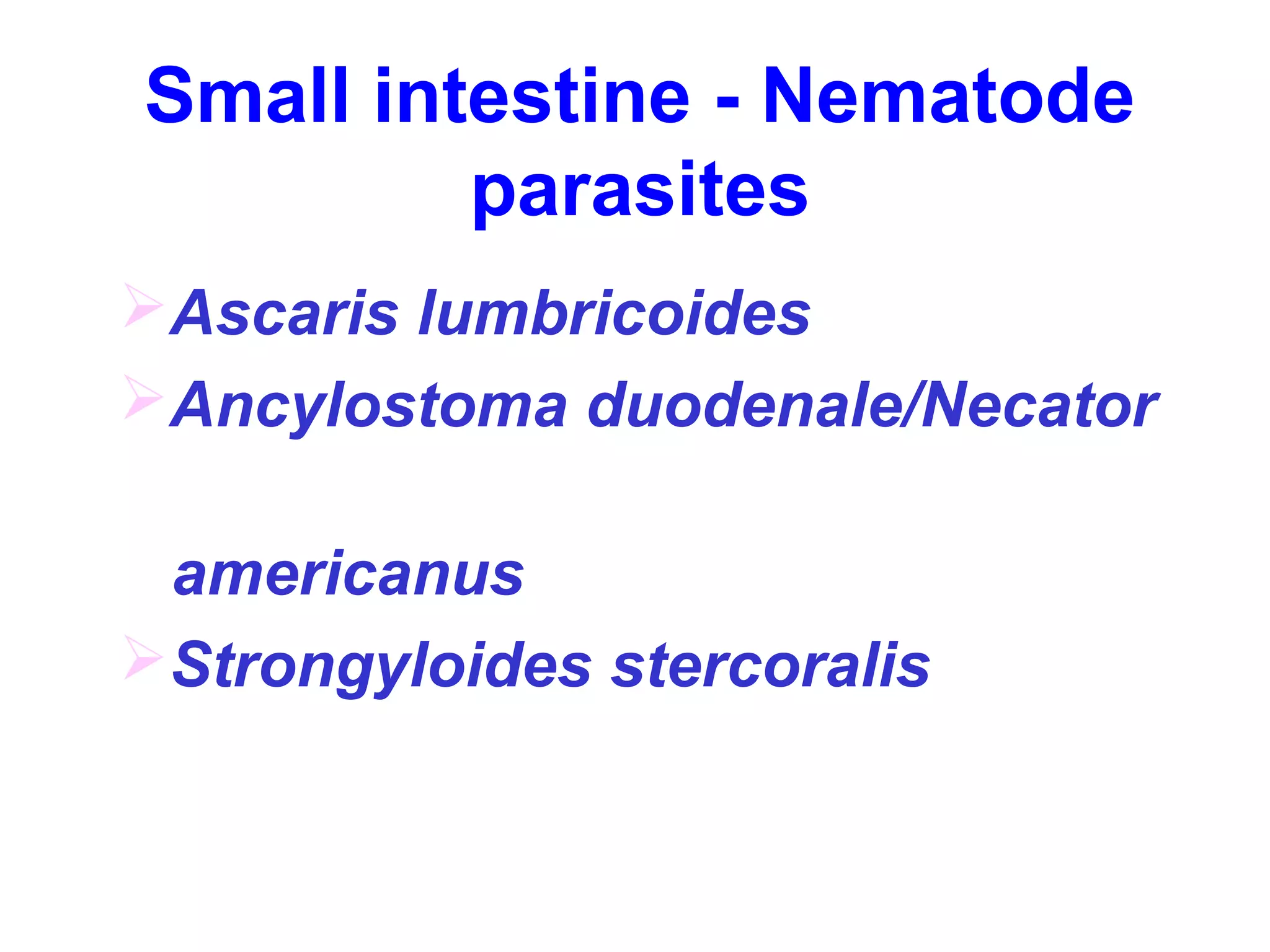 Intestinal nematodes | PPT