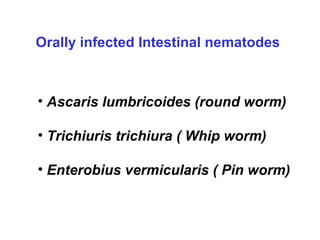 Intestinal nematodes | PPT