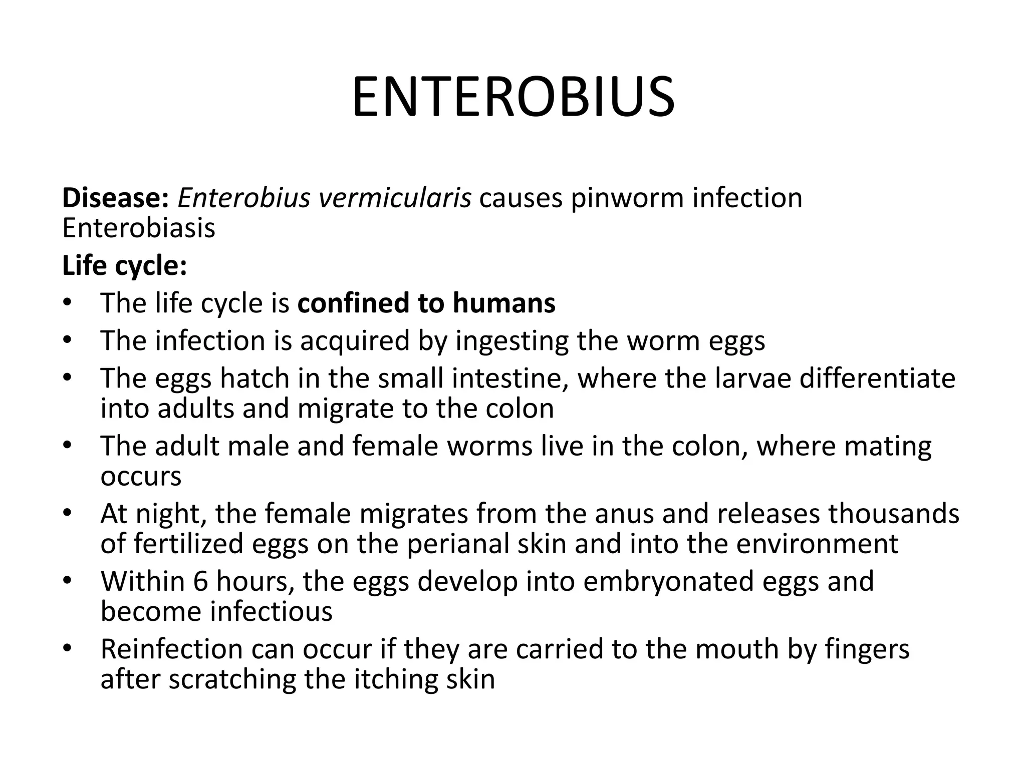 Intestinal nematodes | PPTX