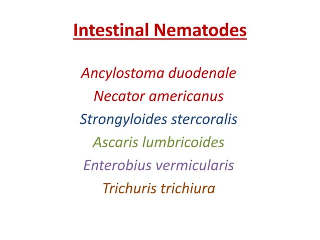 Intestinal nematodes | PPT