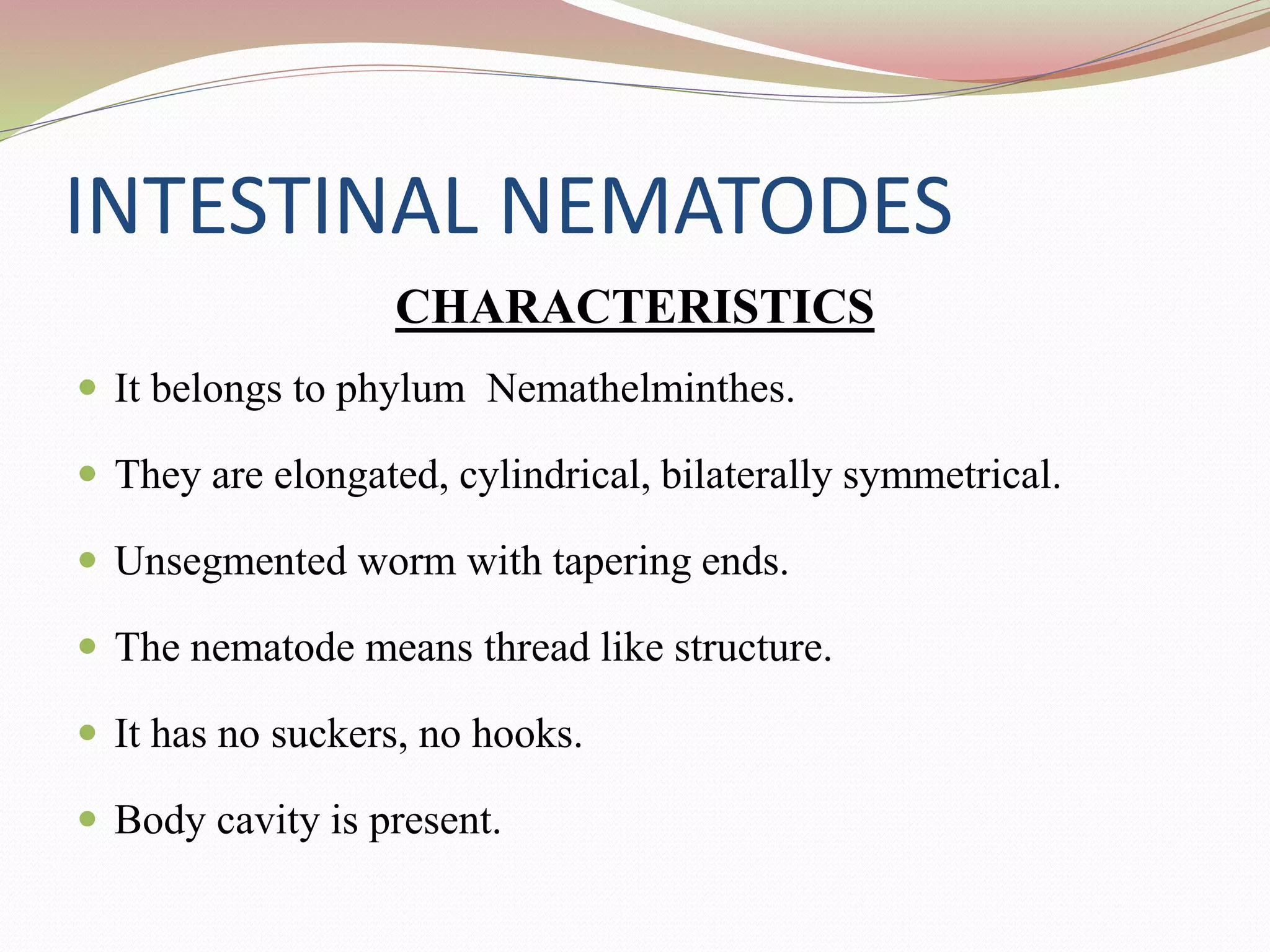 Intestinal nematodes | PPTX
