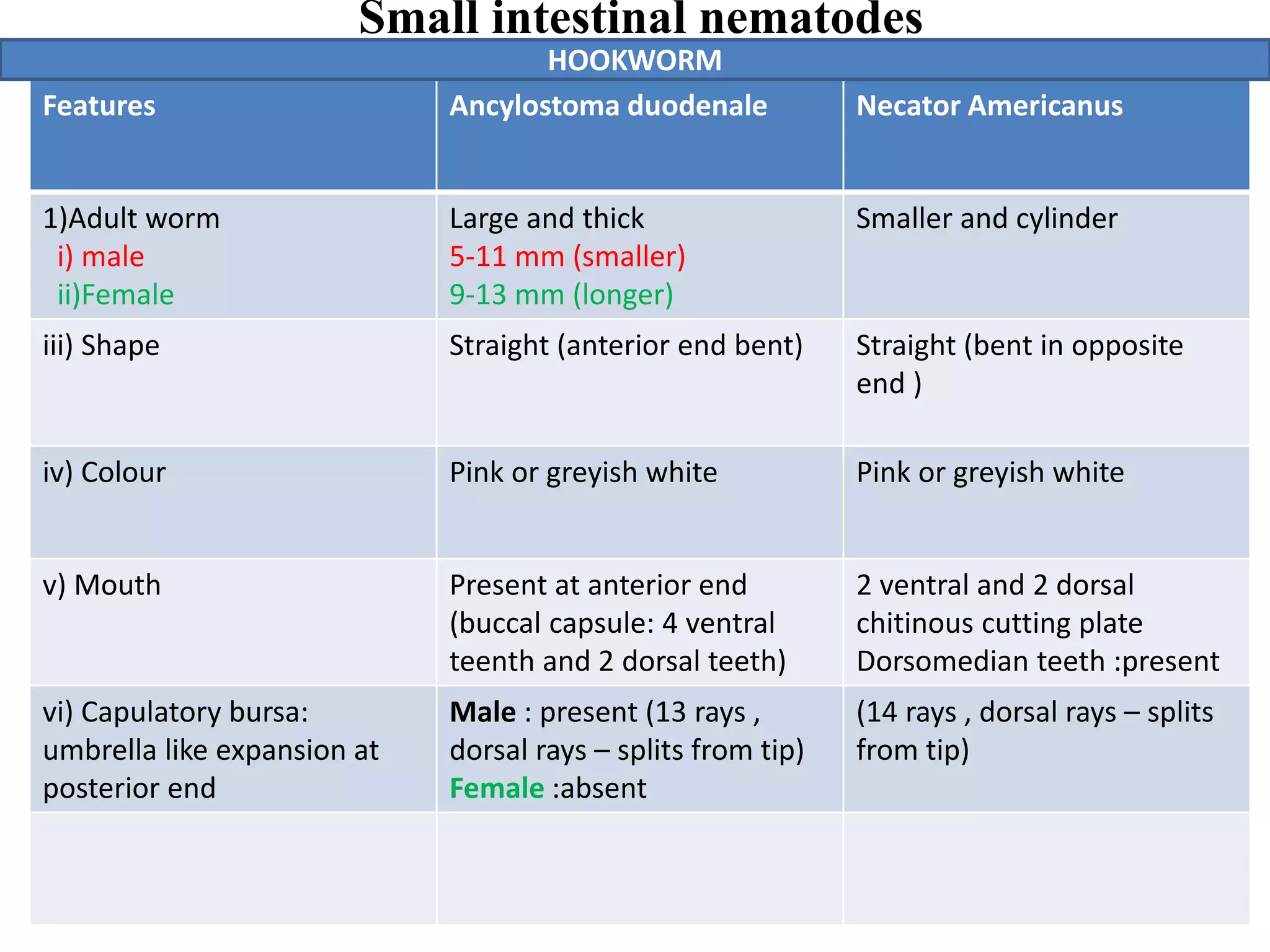 Intestinal nematodes | PPTX