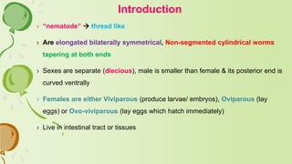 Intestinal Nematodes | PPT