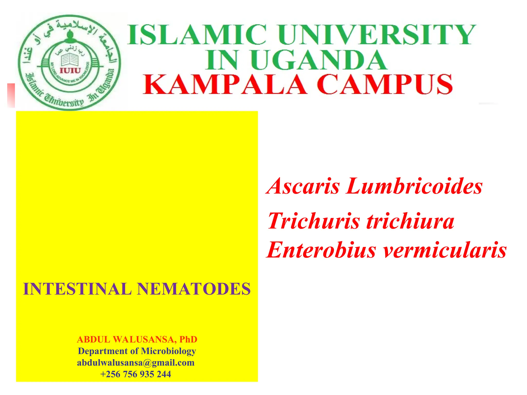 INTESTINAL NEMATODES-ASCARIS, Trichiura, Entrobius.ppt