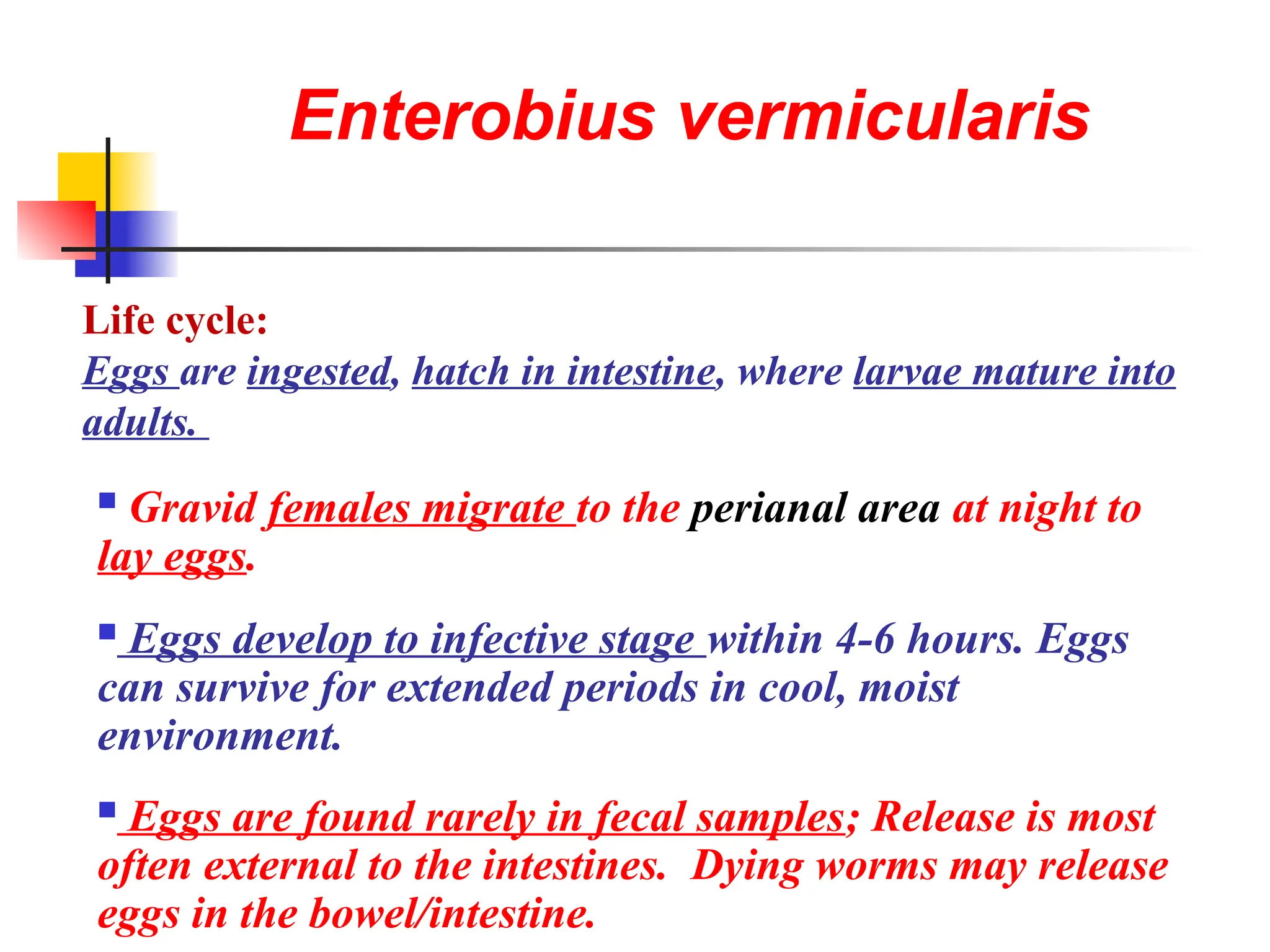 INTESTINAL NEMATODES-ASCARIS, Trichiura, Entrobius.ppt