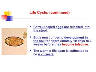 INTESTINAL NEMATODES-ASCARIS, Trichiura, Entrobius.ppt