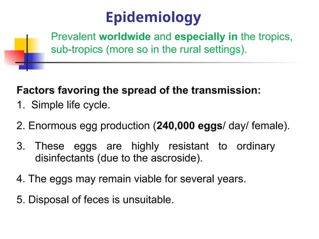INTESTINAL NEMATODES-ASCARIS, Trichiura, Entrobius.ppt