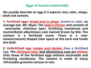 INTESTINAL NEMATODES-ASCARIS, Trichiura, Entrobius.ppt