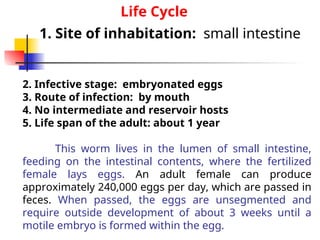 INTESTINAL NEMATODES-ASCARIS, Trichiura, Entrobius.ppt