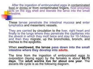 INTESTINAL NEMATODES-ASCARIS, Trichiura, Entrobius.ppt