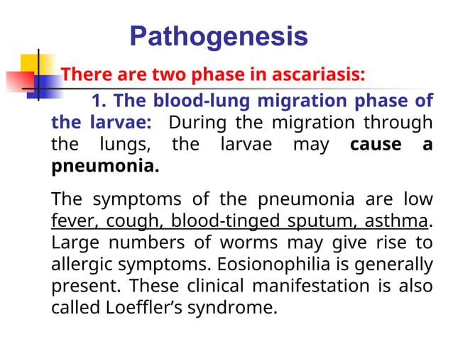 INTESTINAL NEMATODES-ASCARIS, Trichiura, Entrobius.ppt