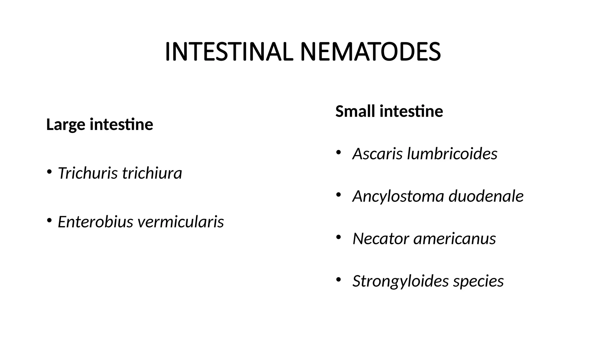 INTESTINAL NEMATODES practical microbiology | PPT