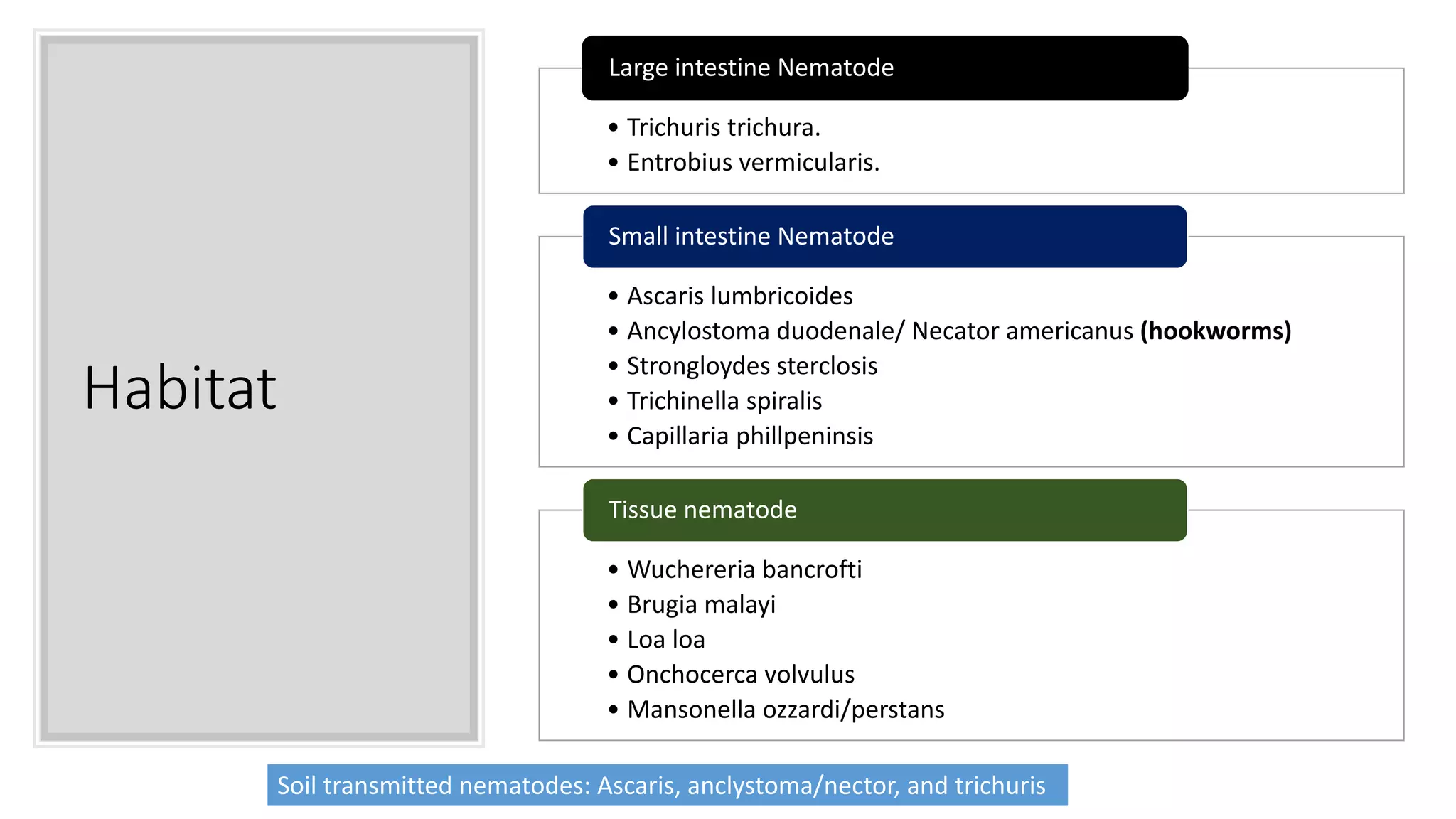 Intestinal nematoda summary for Medical Parasitology | PPTX