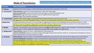 Intestinal nematoda summary for Medical Parasitology | PPT