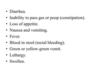 Intestinal Obstruction | PPTX