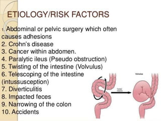 intestinal obstruction. B.Sc Nursing 2 year digestive system | PPTX