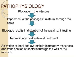 intestinal obstruction. B.Sc Nursing 2 year digestive system | PPTX