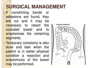 intestinal obstruction. B.Sc Nursing 2 year digestive system | PPT