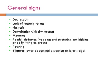 Intestinal Obstruction, MUDASIR BASHIR | PPT | Digestive Disorders ...