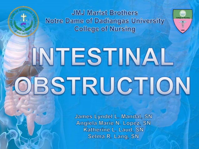 Intestinal Obstruction Powerpoint Presentation | PPTX