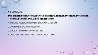 Intestinal obstruction | PPT