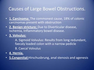 Obstruction Du Côlon Causes – Occlusion intestinale : symptômes, causes ...