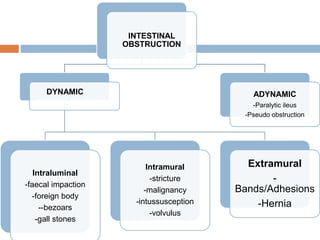 Intestinal obstruction | PPTX