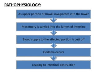 Intestinal obstruction | PPT