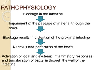 Intestinal obstruction with Nursing Management | PPT
