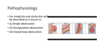 Intestinal Obstruction .pptx