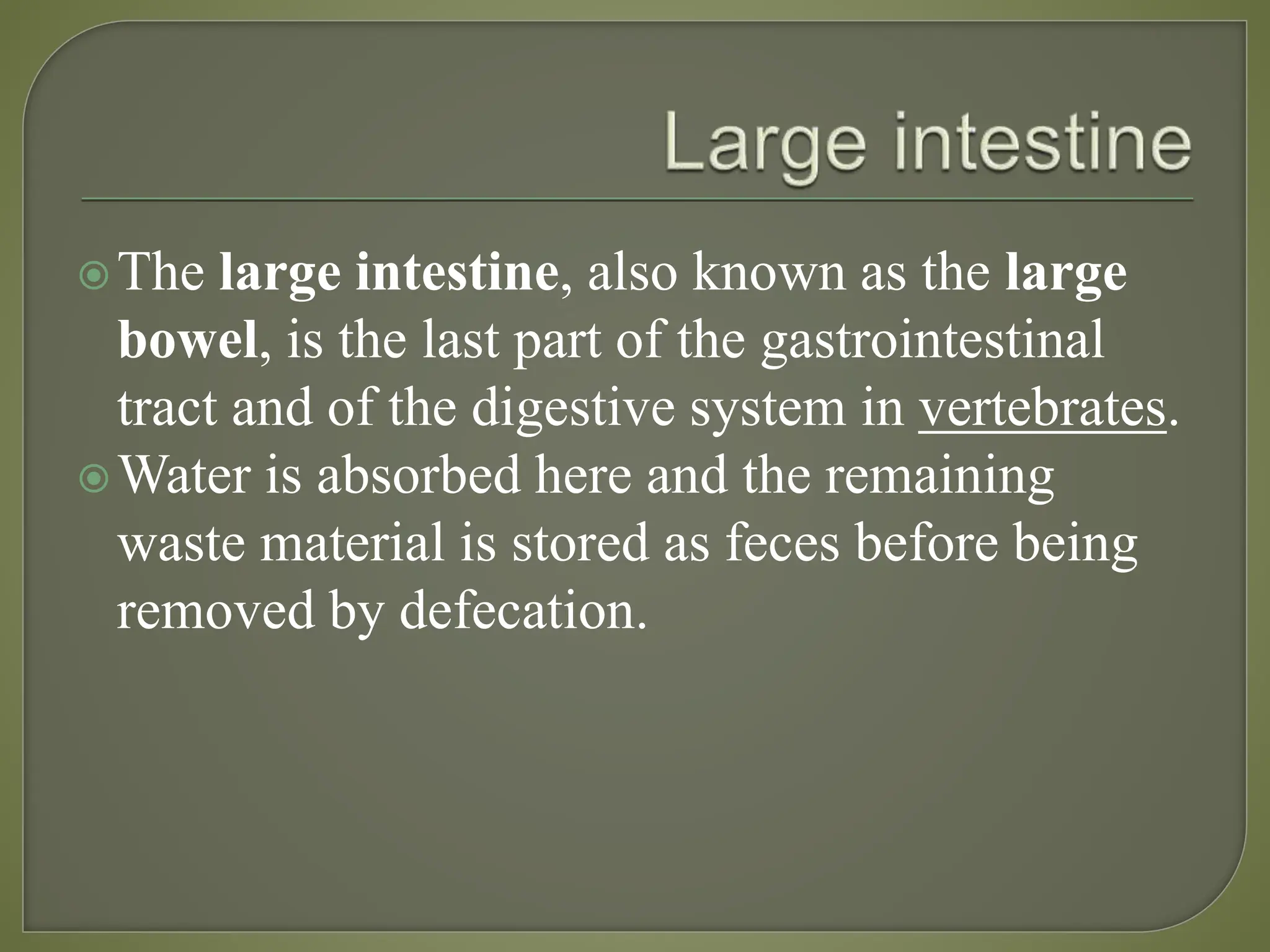 Intestinal obstruction surgery adult health nursing.pptx | Digestive ...